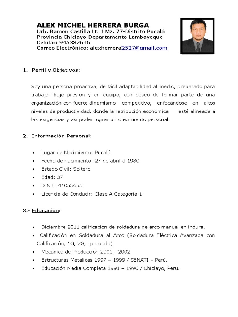 Curriculum Alex 2018 | PDF