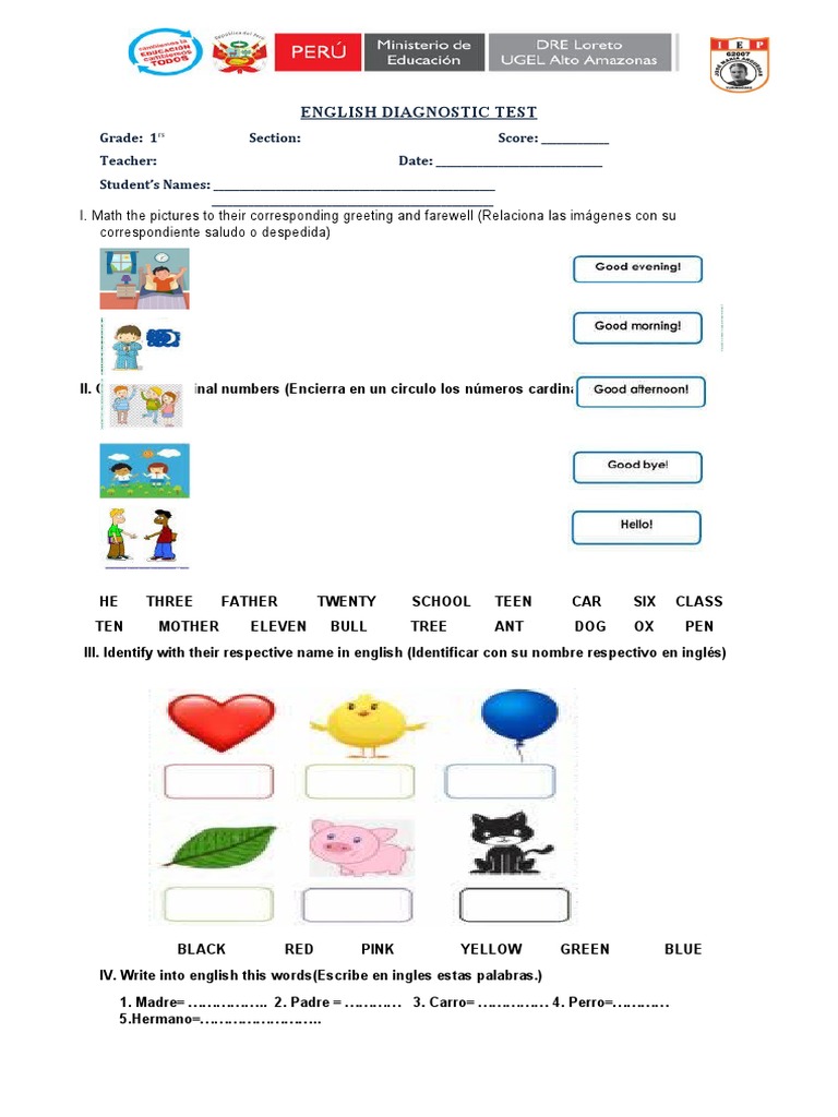 English Diagnostic Test | PDF