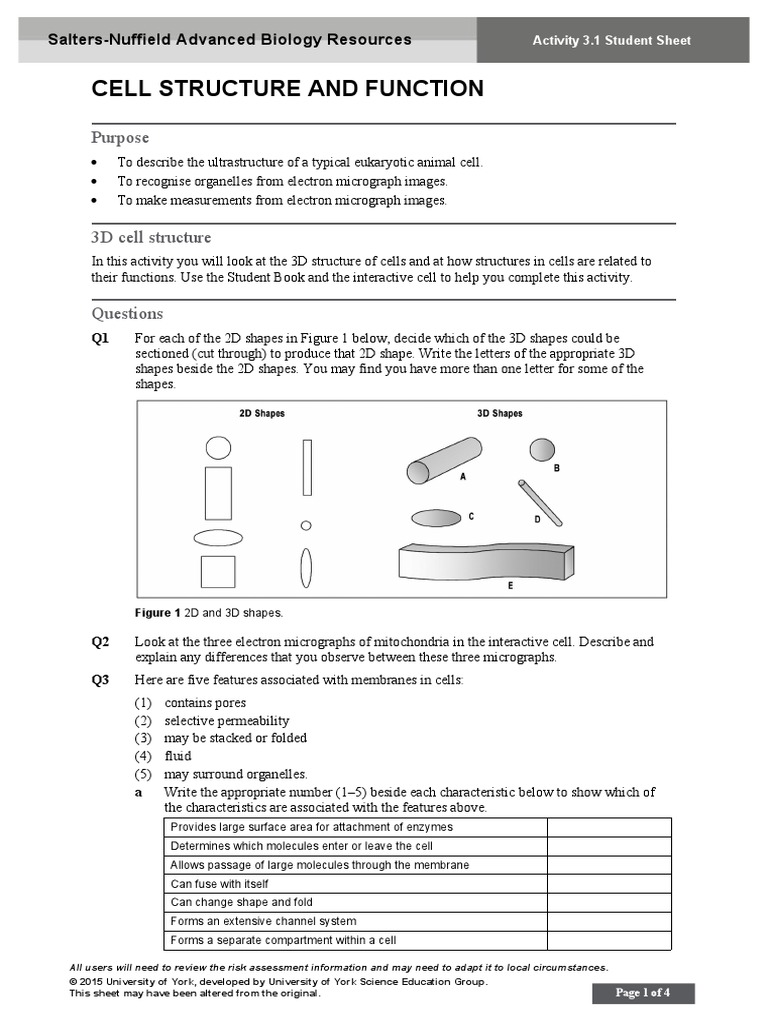 Activity 3-1 Student | PDF | Cell (Biology) | Cell Membrane