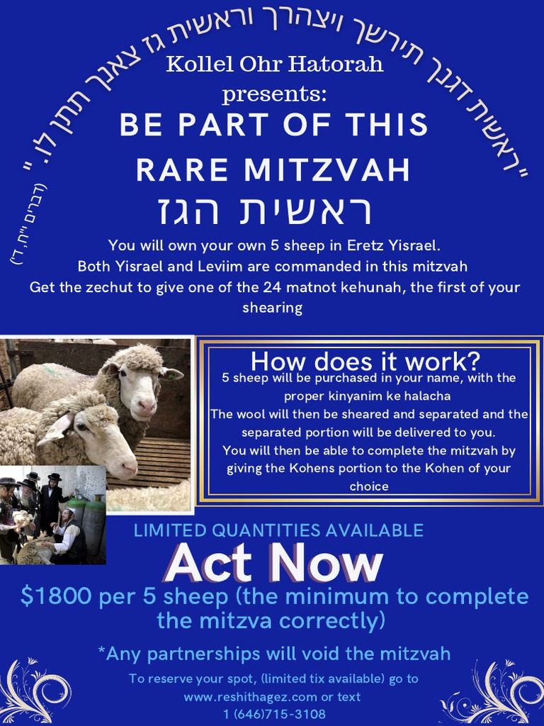 Own sheep in Israel and fulfill rare biblical mitzvah of Reshit HaGaz | PDF