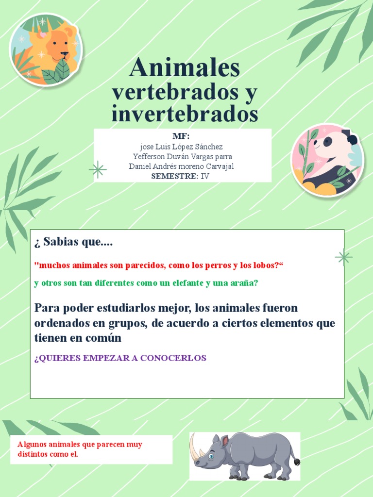 Animales Vertebrados e Invertebrados | PDF | Esqueleto | Invertebrado