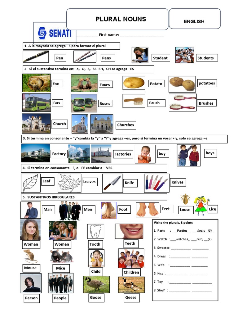 3 - A - Plural Nouns - Worksheet | PDF | Plural | Grammar