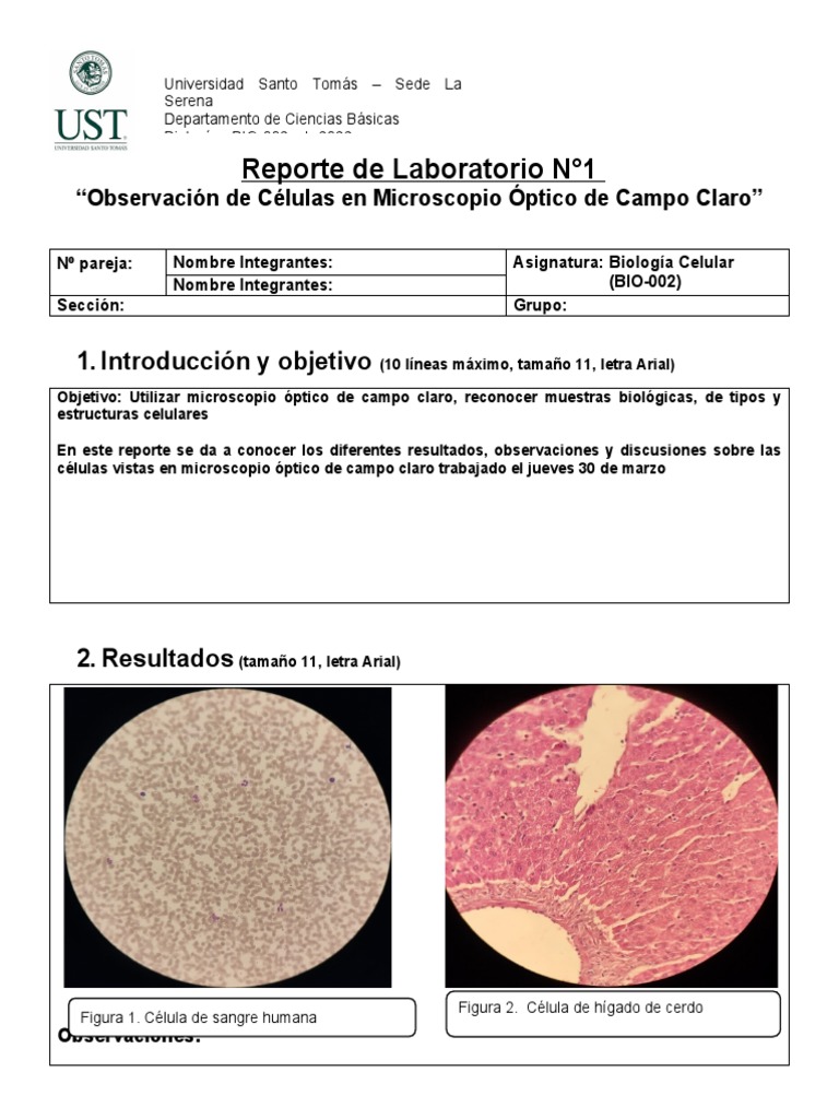 Formato Reporte de Laboratorio 2 BIO-002 | PDF | Biología Celular ...