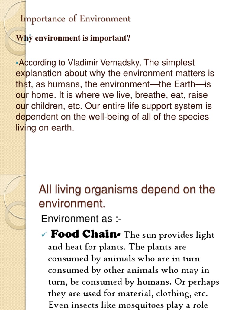 Significance of the Environment | PDF | Ecosystem | Natural Environment