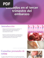 Puerperio Tardío | PDF | Parto | Periodo posparto