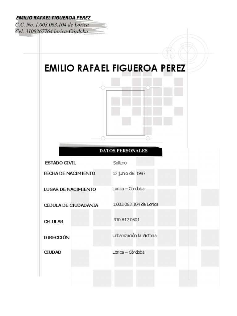 Hoja de Vida (Erfp) | PDF