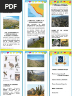 TABLAZOS | PDF | Perú | Geología