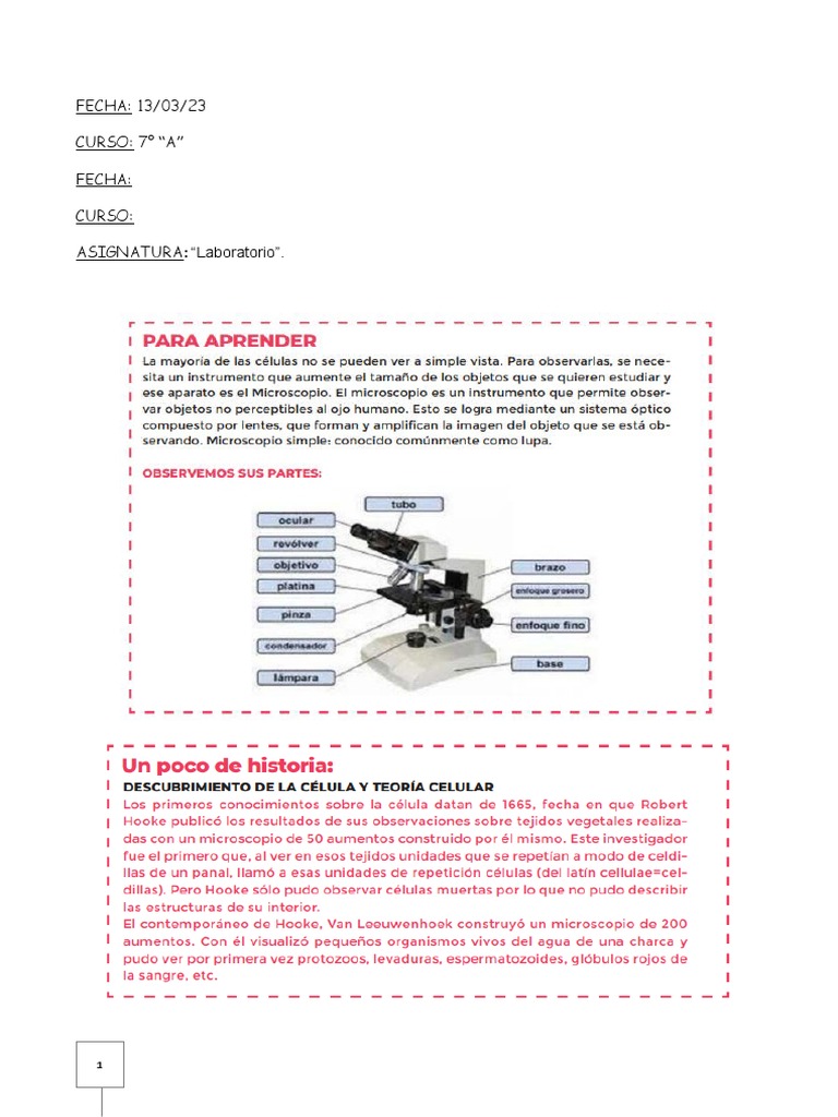 Microscopio | PDF