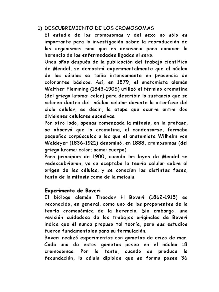 teoría cromosomica | PDF | Mitosis | Cromosoma