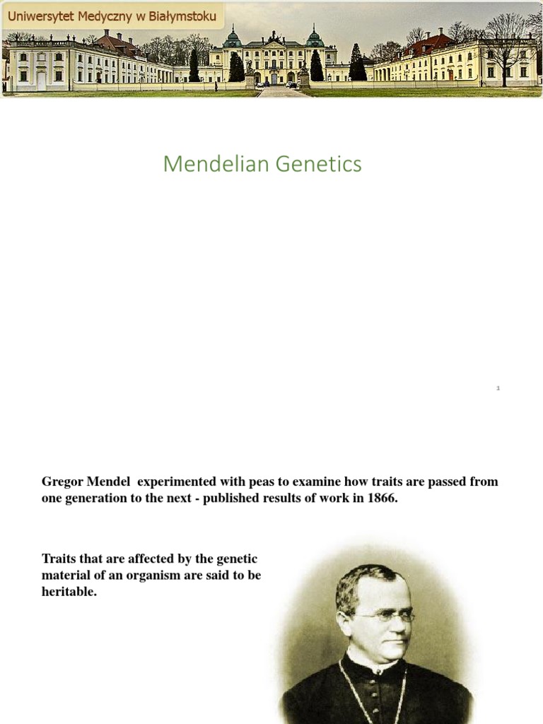 Mendelian Genetics | PDF | Dominance (Genetics) | Genotype