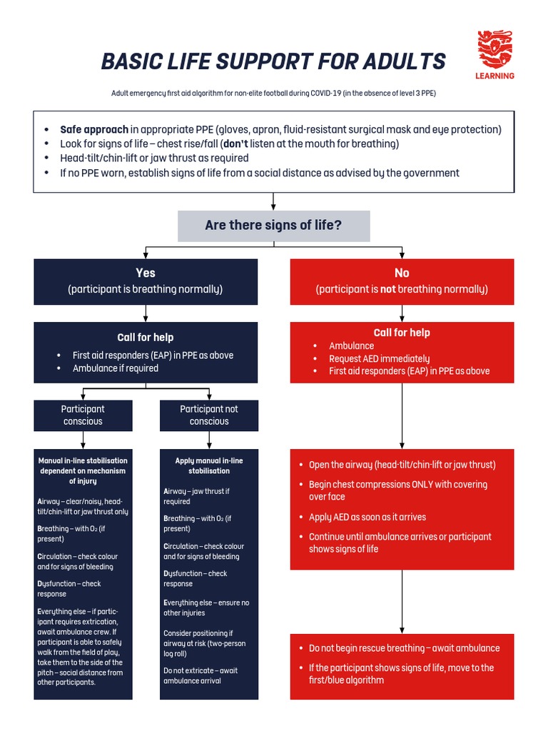 Basic Life Support For Adults | PDF | First Aid | Personal Protective ...