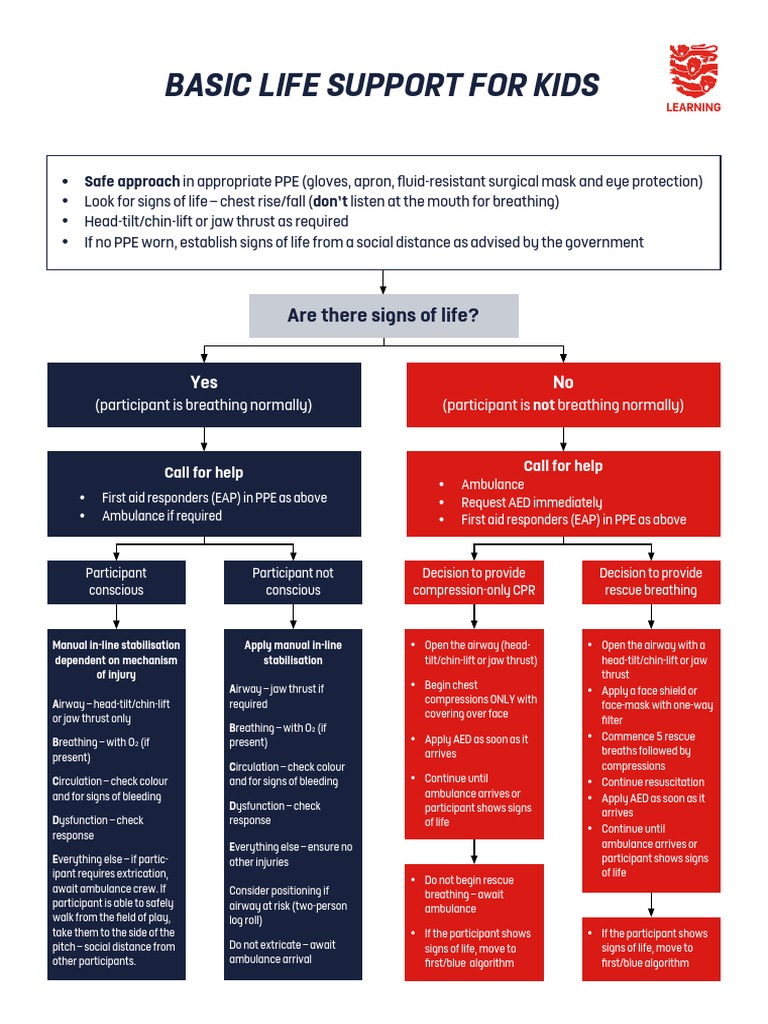 BLS Flowchart For Kids | PDF | Cardiopulmonary Resuscitation | Survival ...