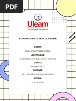 Omentos mayor y menor_ Anatomía, ubicación y función _ Kenhub | PDF ...