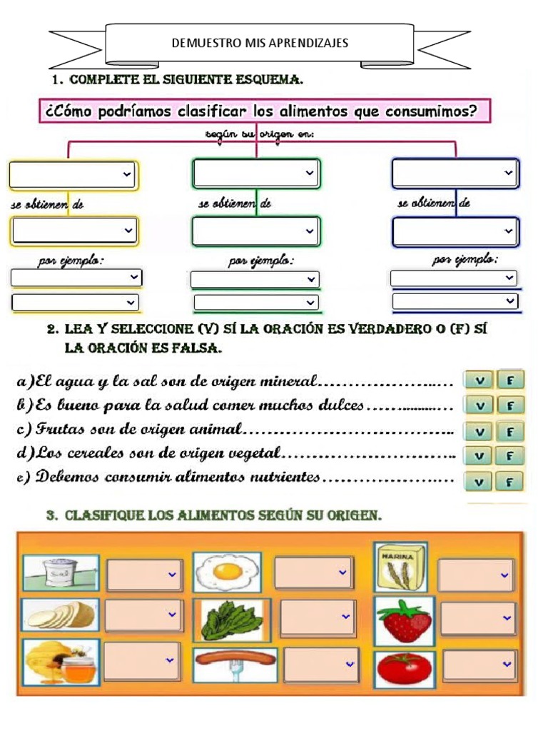 Clasificacion de Los Alimentos | PDF