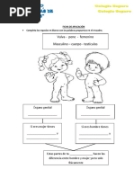 Ficha Las Niñas y Los Niños Son Diferentes | PDF | Salud y bienestar