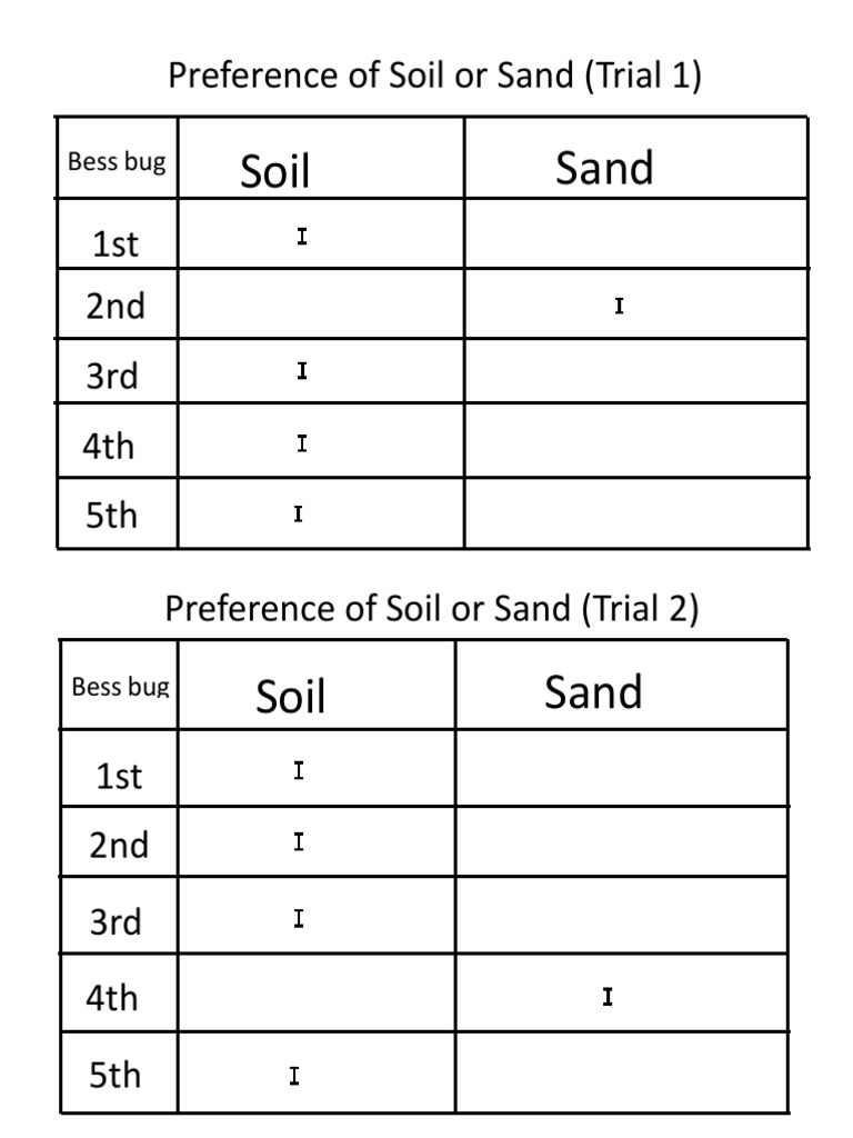 Bess Bug Habitat Preference Study | PDF | Insects | Beetle