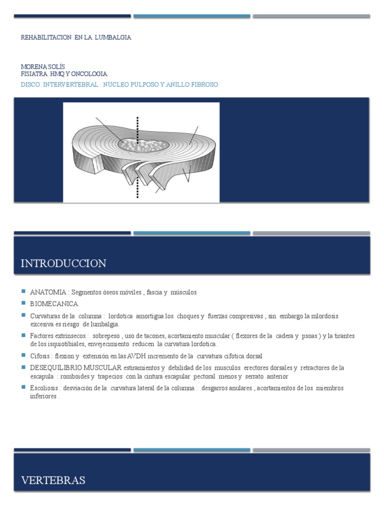 Rehabilitacion en La Lumbalgia: Disco Intervertebral: Nucleo Pulposo Y ...
