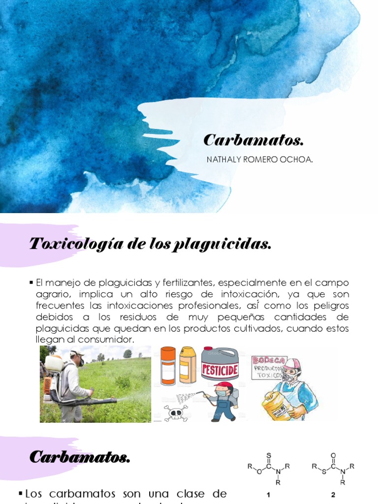 Características y riesgos de carbamatos | PDF | Pesticida ...