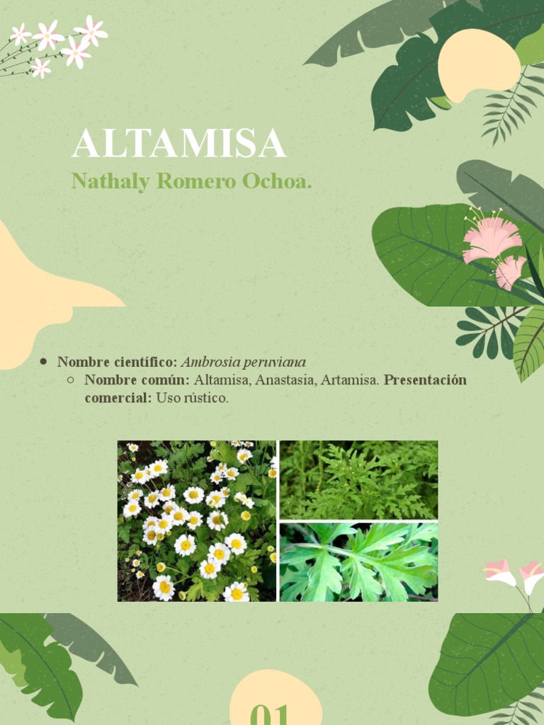 ALTAMISA | PDF | Toxicidad | Especialidades Medicas