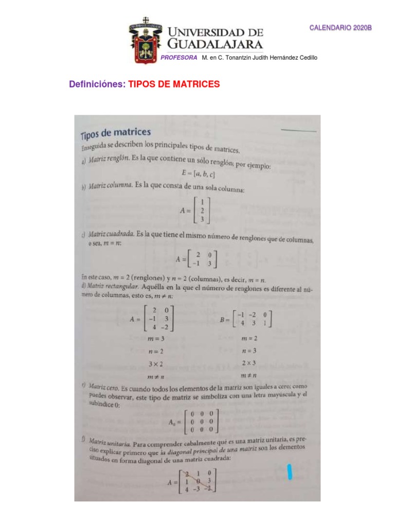 Tipos y Operaciones de Matrices 2020 | PDF | Ciencias sociales