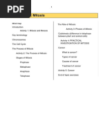 Mitosis and the Cell Cycle - Cell Division - AQA - GCSE Biology (Single ...