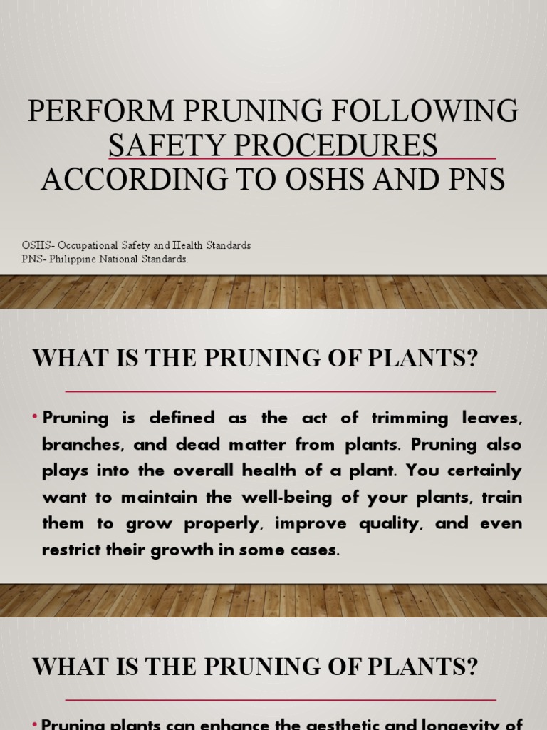 Perform Pruning Following Safety Procedures According To OSHS | PDF | Pruning | Agriculture