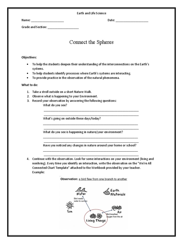 Nature Walk Observation Guide | PDF | Natural Environment | Nature
