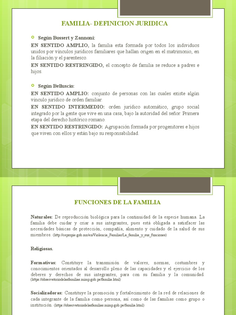 FAMILIA - TP 1 PARTE 1 - SIGLO 21 | PDF | Parentesco | Familia