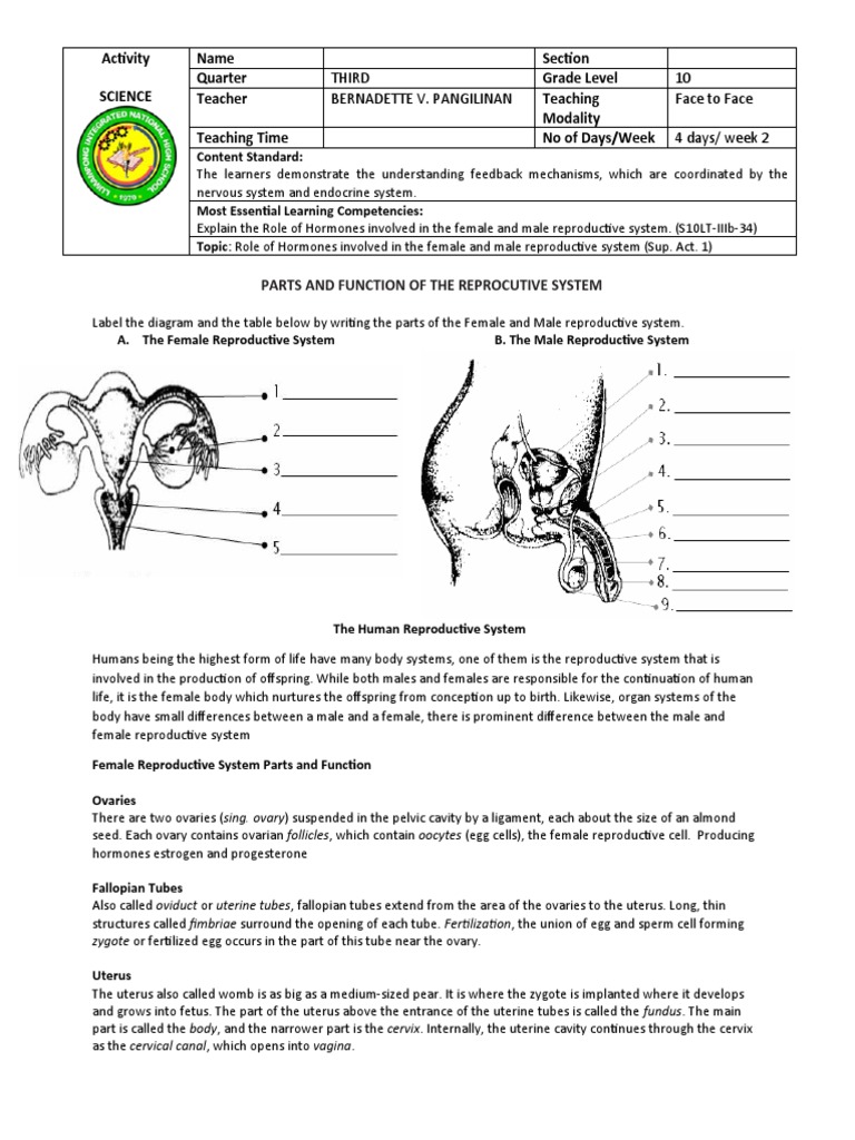 Reproductive System Parts and Functions | PDF | Testicle | Ovary
