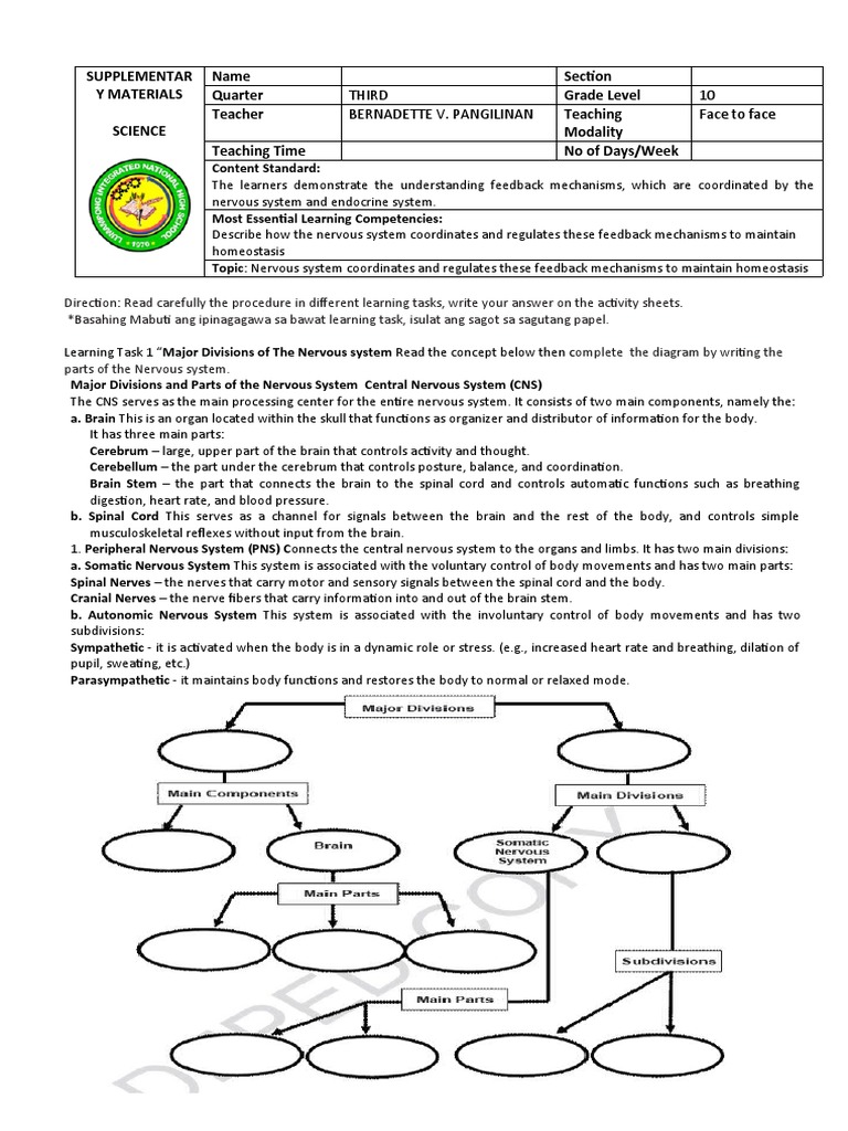 Week 3 Supplementary Activity 2 - Nervous System Coordinates and ...