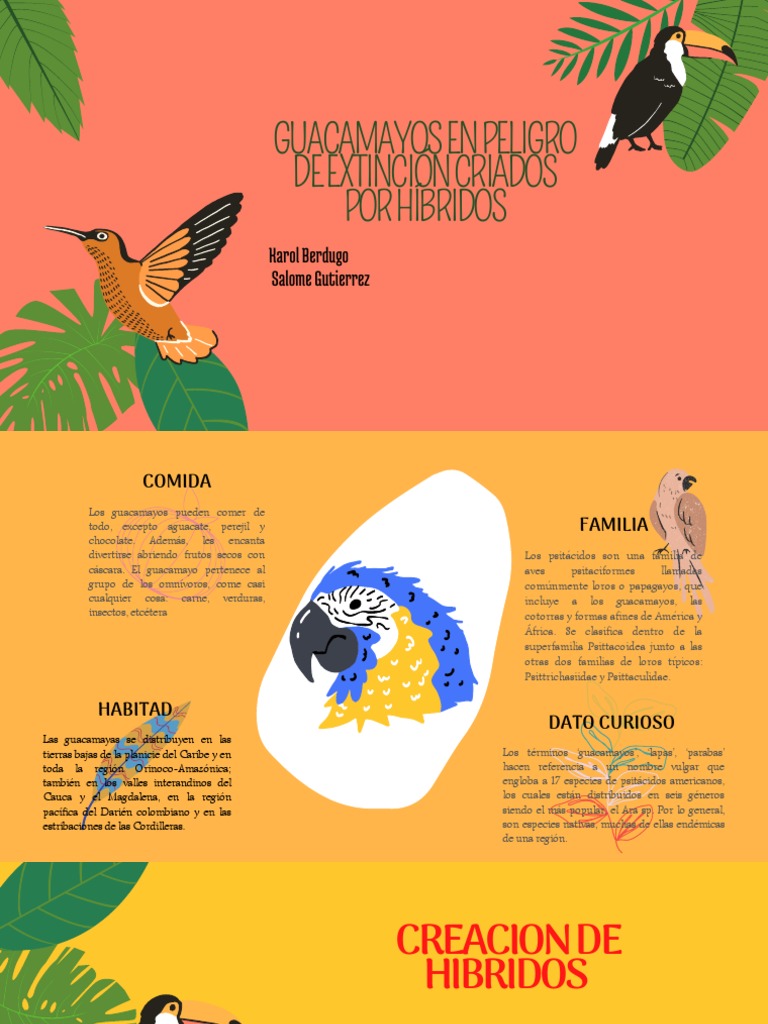 Guacamayos: Cría y Conservación | PDF | Loro | Organismos