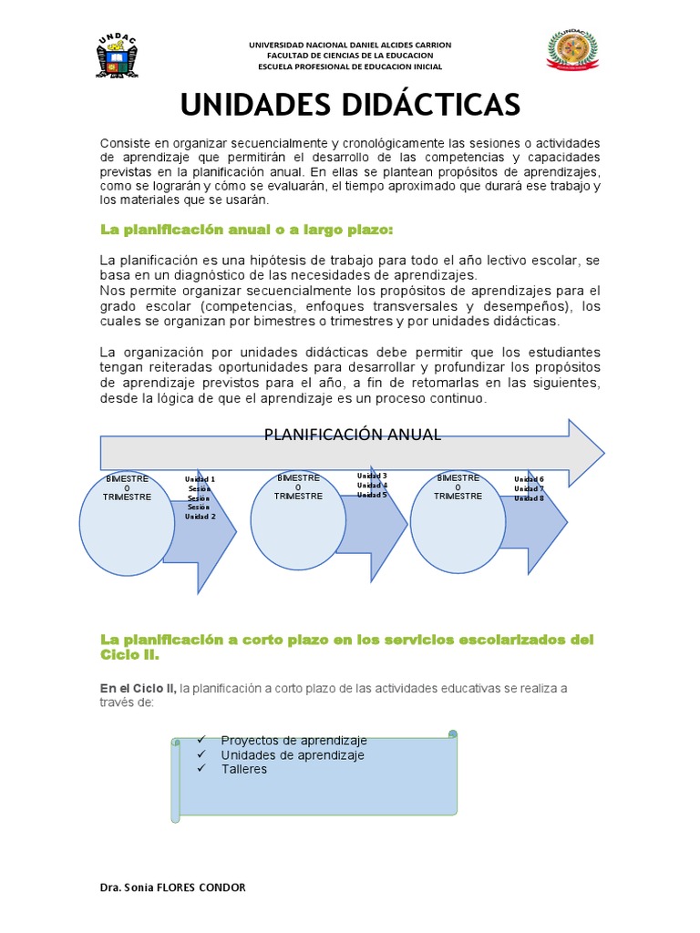 Lectura Unidad Didactica | Descargar gratis PDF | Aprendizaje ...