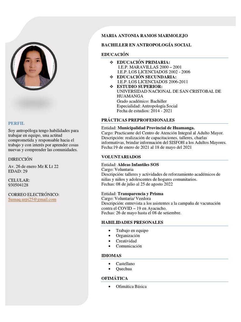 CURRICULUM VITAE Completo Maria | Descargar gratis PDF | Perú