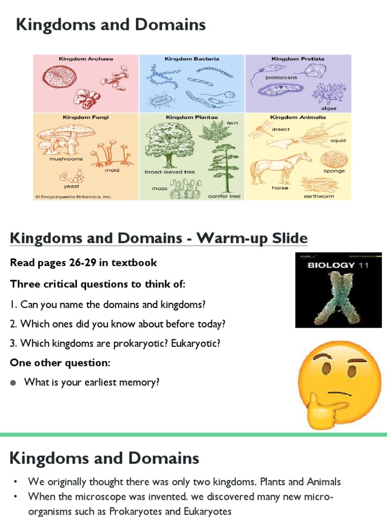 1.4 Kingdoms and Domains | PDF | Prokaryote | Cell (Biology)