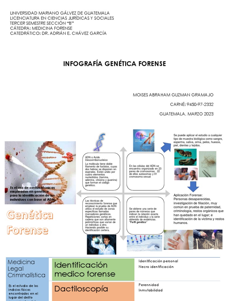 Infografía sobre Genética Forense | PDF | Adn | Genética