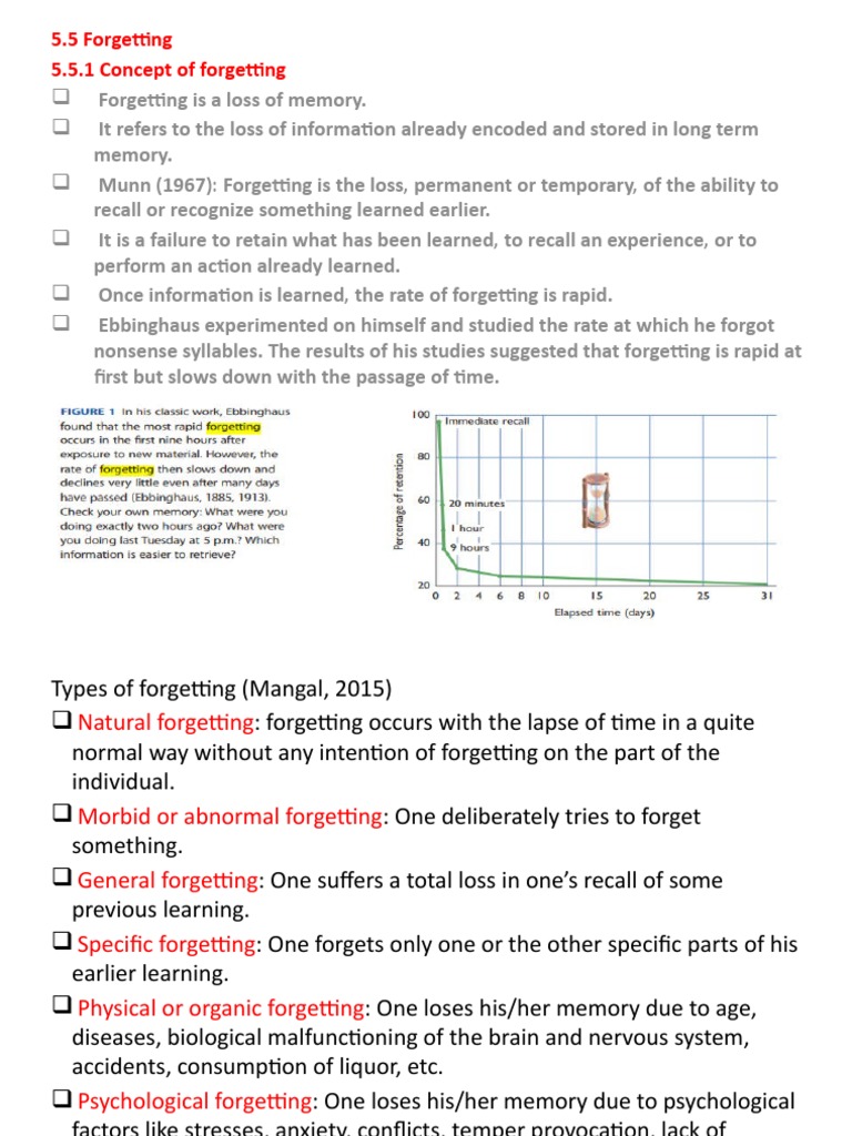 Forgetting Pdf Memory Amnesia