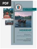 The Local Development Investment Program (LDIP) : - The Main ...