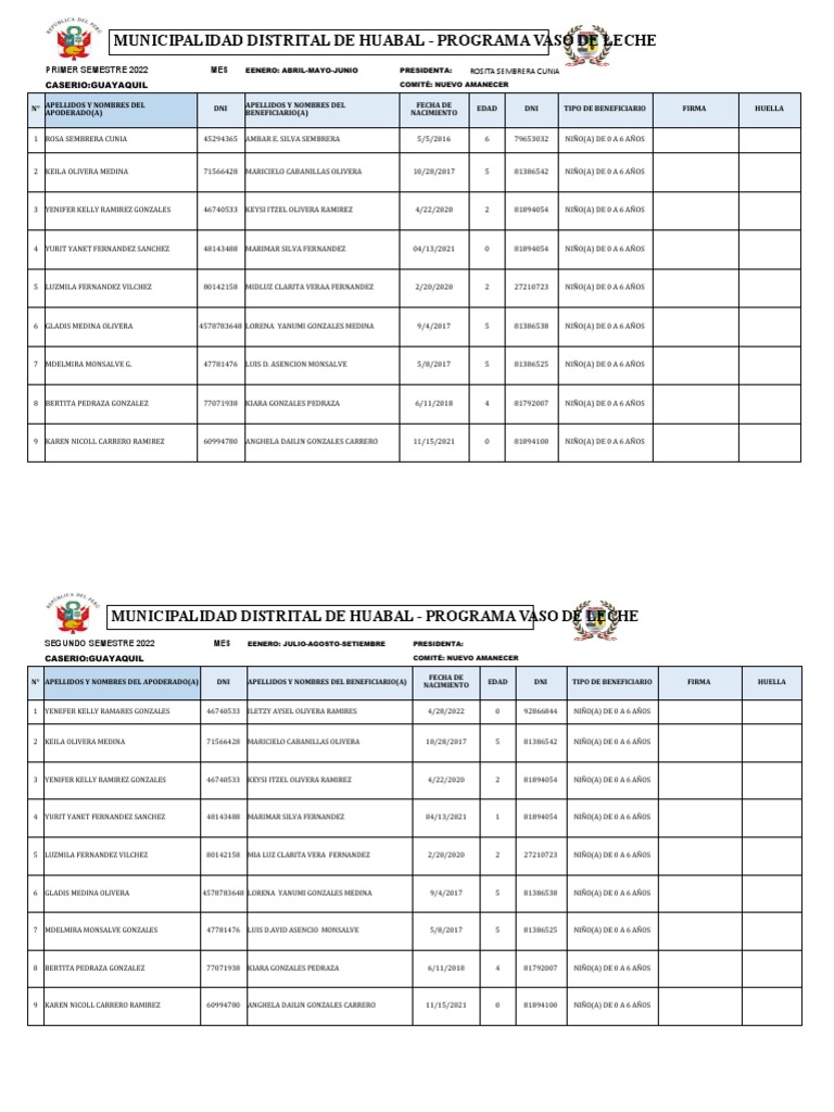 Formatos para PVL | PDF