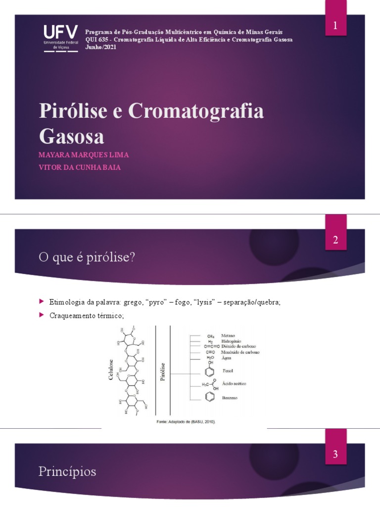 Pirolise e Cromatografia | PDF | Cromatografia em fase gasosa ...