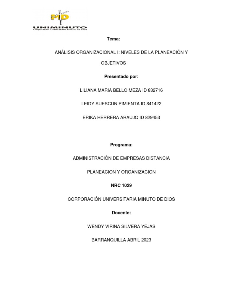 Analisis Organizacional | PDF | Planificación | Calidad (comercial)