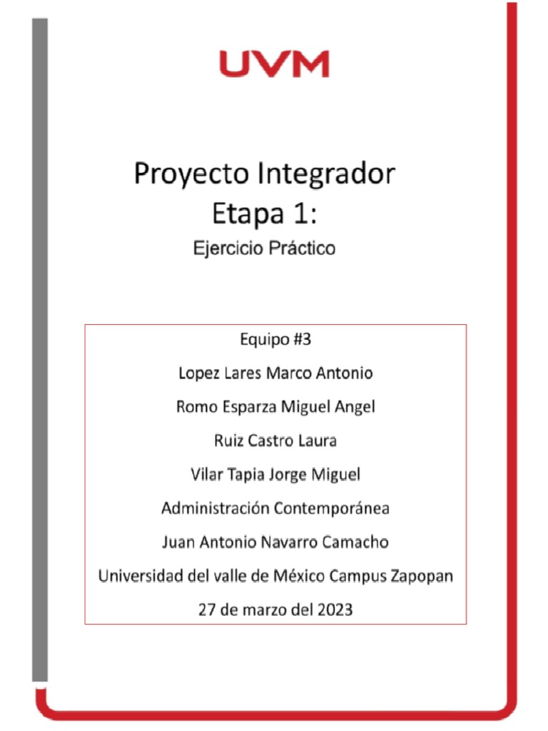 Proyecto Integrador 1ra Parte | PDF