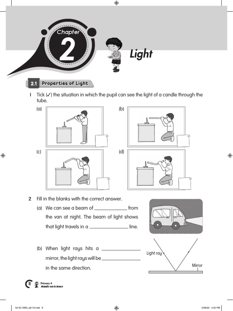 Properties of Light for Primary 4 | PDF | Mirror | Shadow