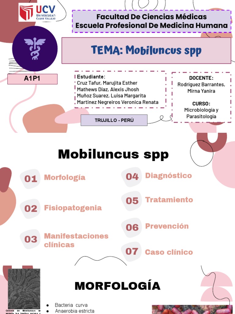 Expo - Taller 9 MOBILUMCUS | PDF | Las bacterias | Bacterias Gram-negativo