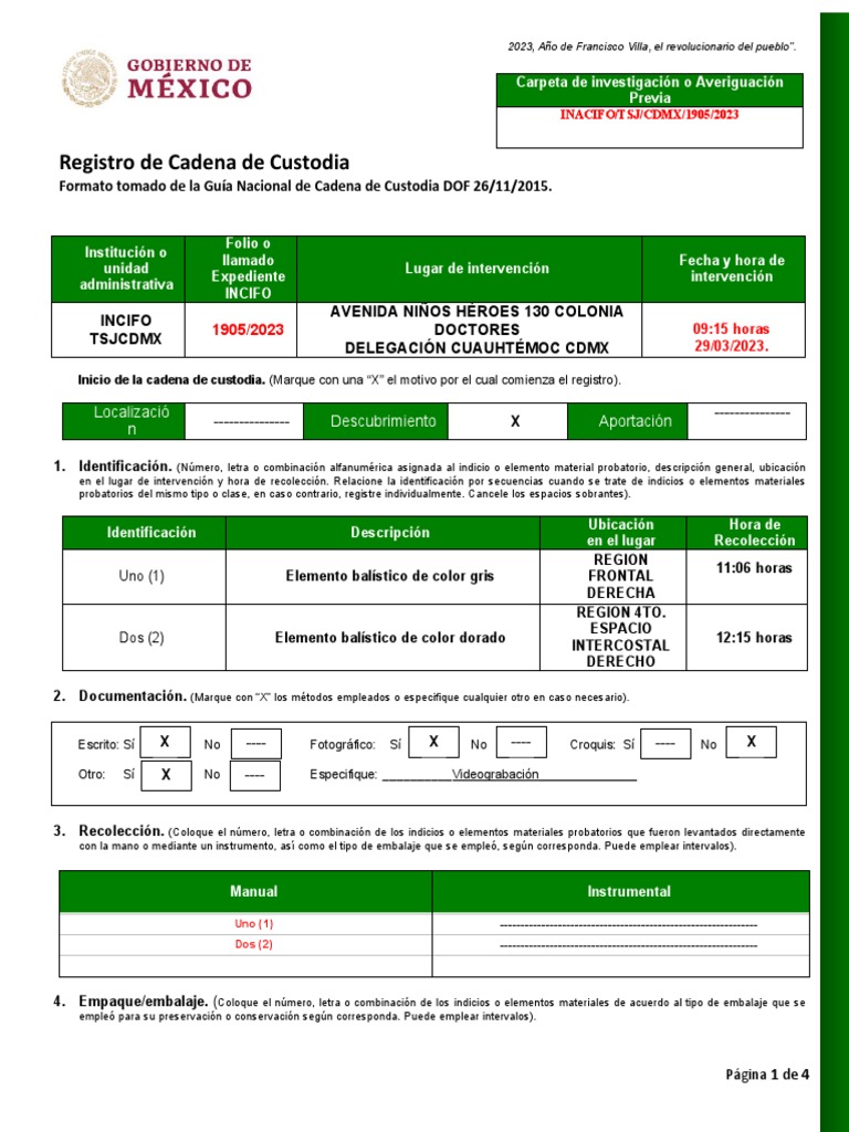 Ejemplo De Cadena De Custodia 2023 Pdf