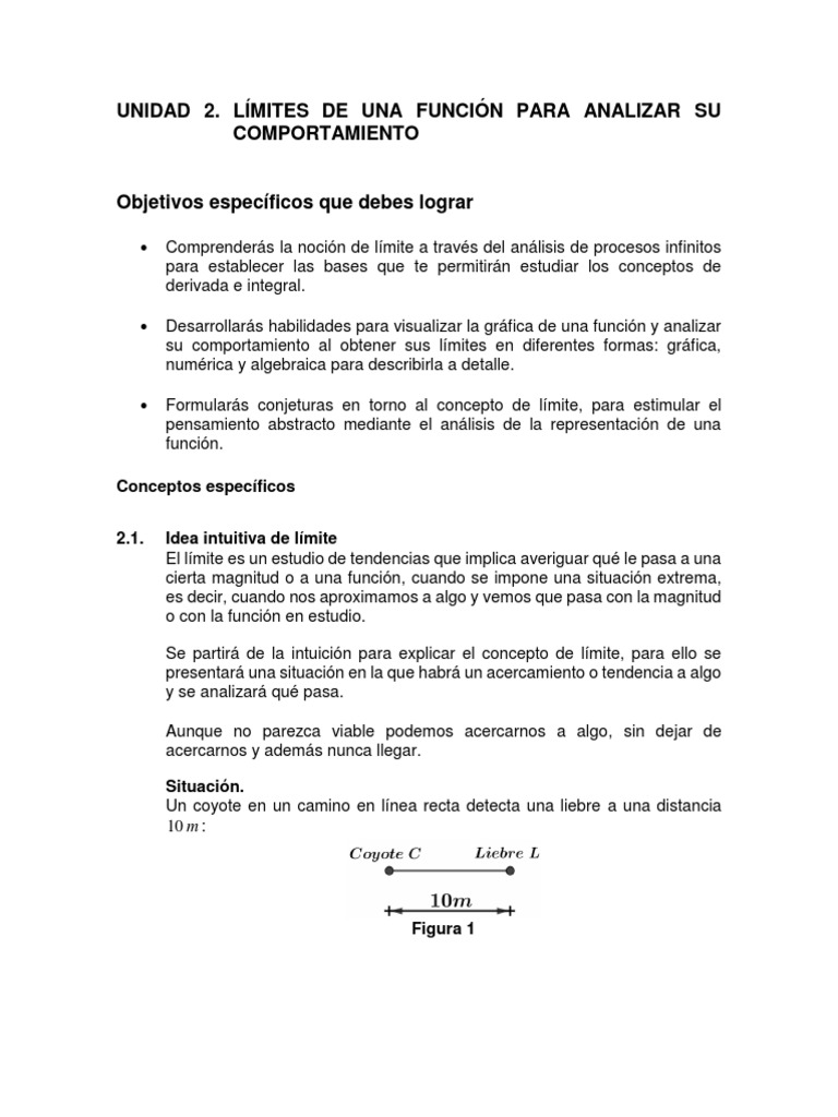 Límites de Funciones: Conceptos y Ejemplos | PDF | Límite (Matemáticas ...