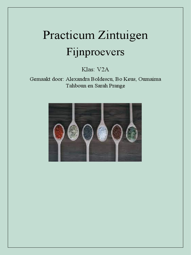 Practicum Zintuigen | PDF