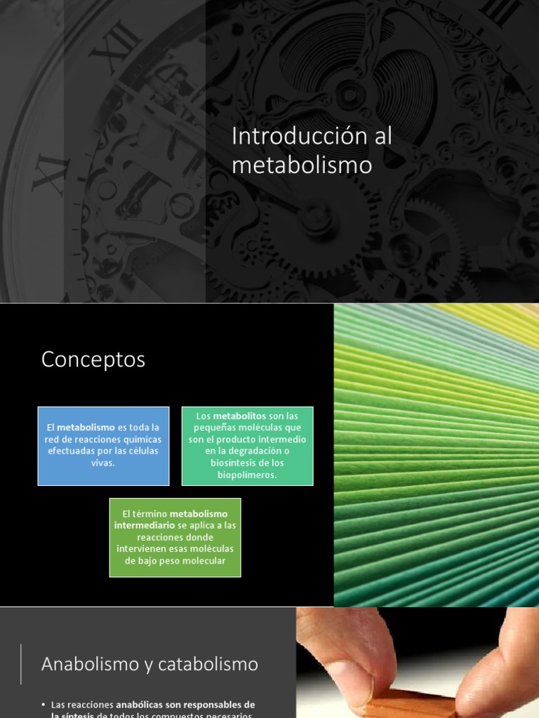 Introduccion Al Metabolismo - 2021 | PDF | Metabolismo | Inhibidor de ... Introduccion Al Metabolismo - 2021 | PDF | Metabolismo | Inhibidor de ...