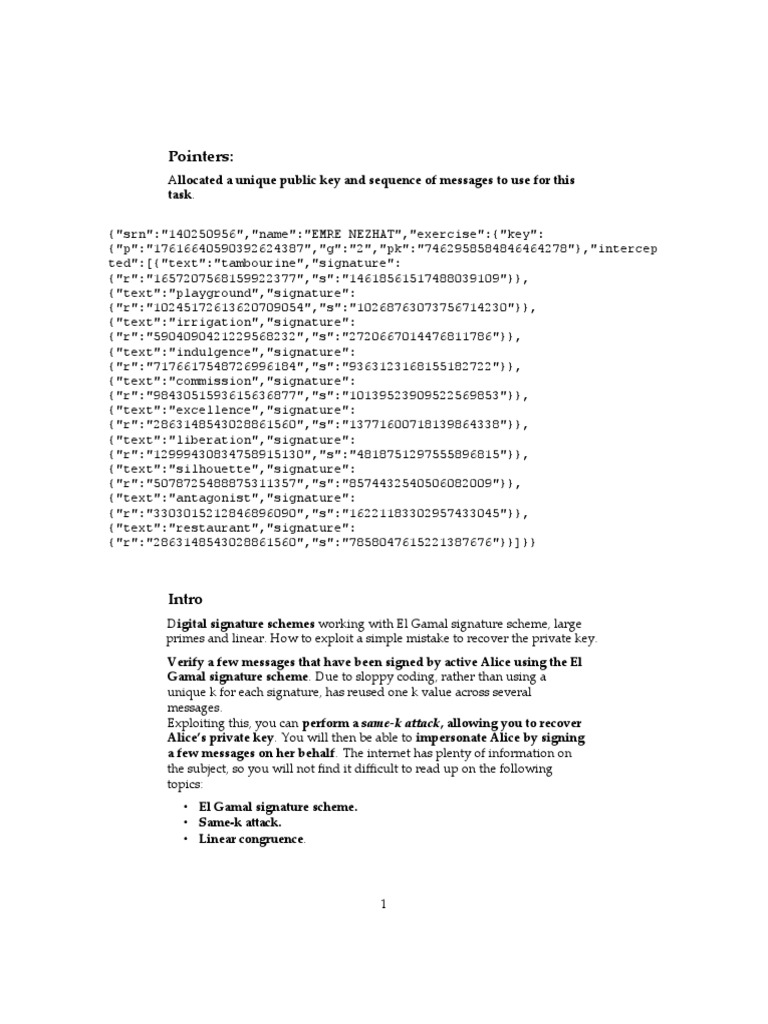 Pointers | PDF | Public Key Cryptography | Applied Mathematics