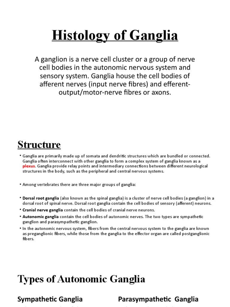 Histology of Ganglia | PDF | Ganglion | Autonomic Nervous System