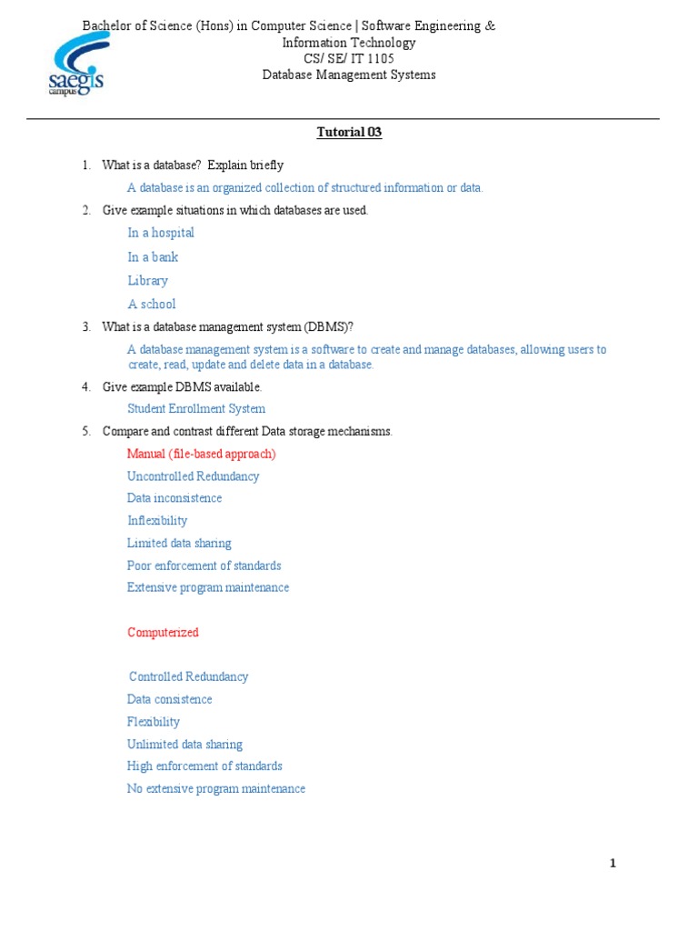 Amanda - Dbms | PDF | Databases | Database Schema